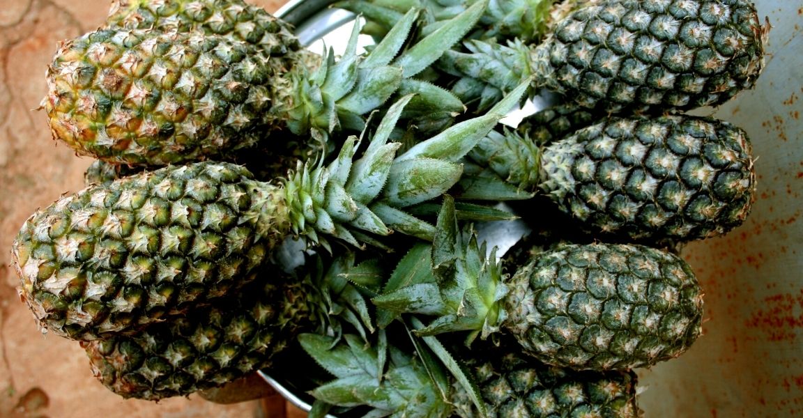 Ananá o piña interesantes propiedades