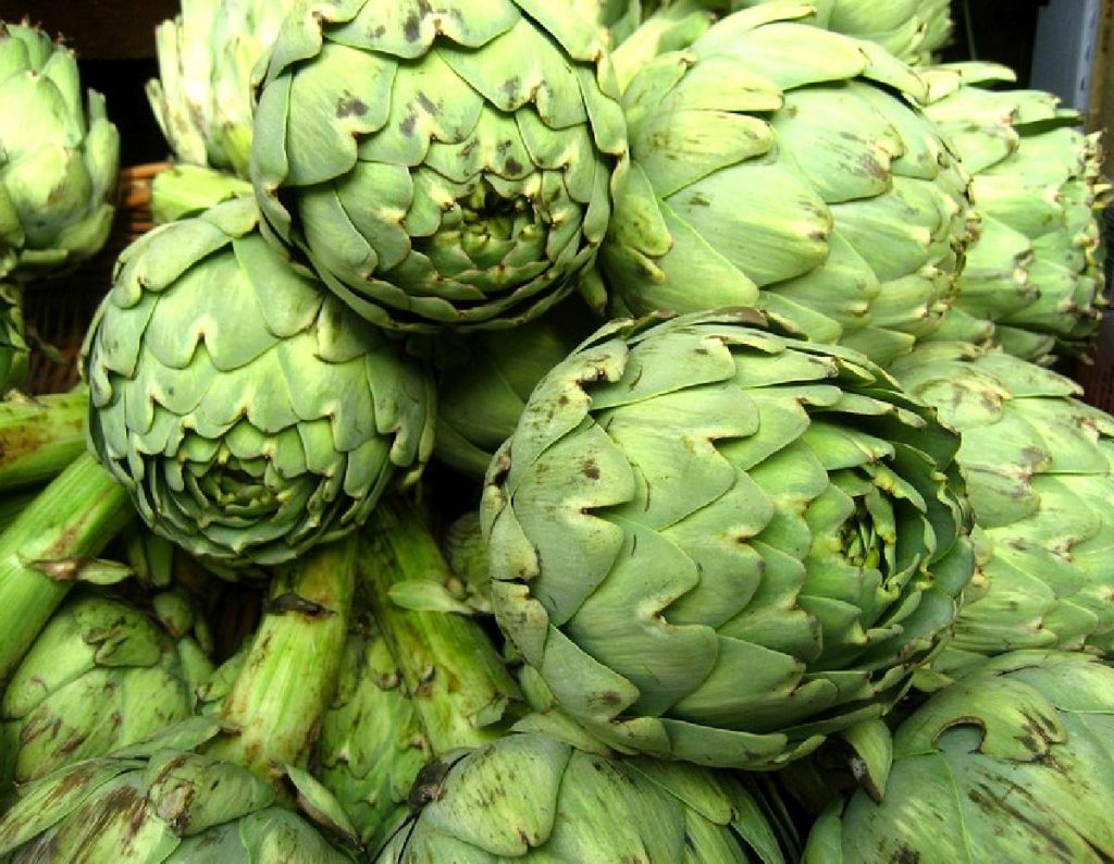 Alcaucil o alcachofa - Qué son y cuáles beneficios aportan