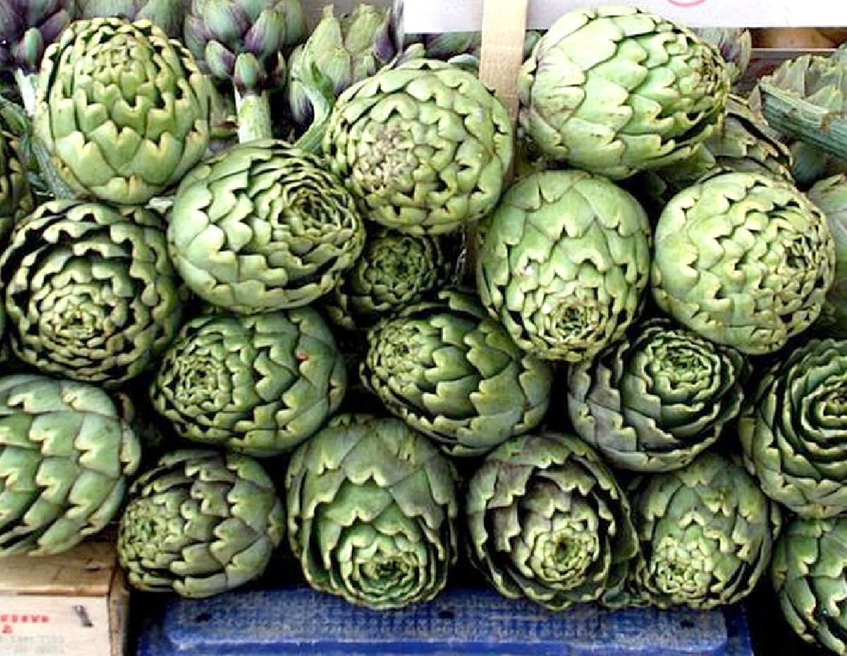 Alcauciles o alcachofas, como conservarlos en freezer (o congelados ...